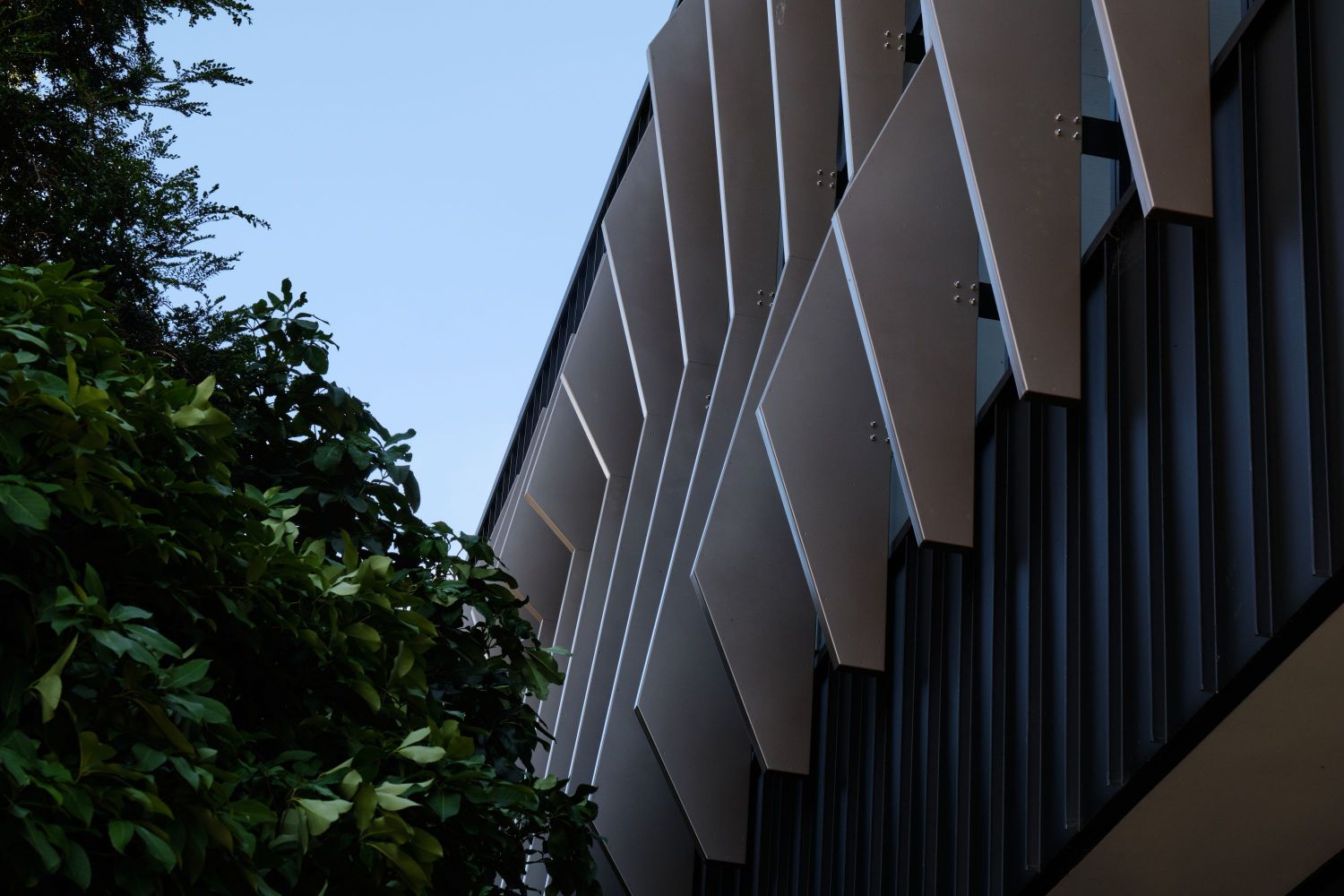 Insol | Otago University of Music & Performing Arts